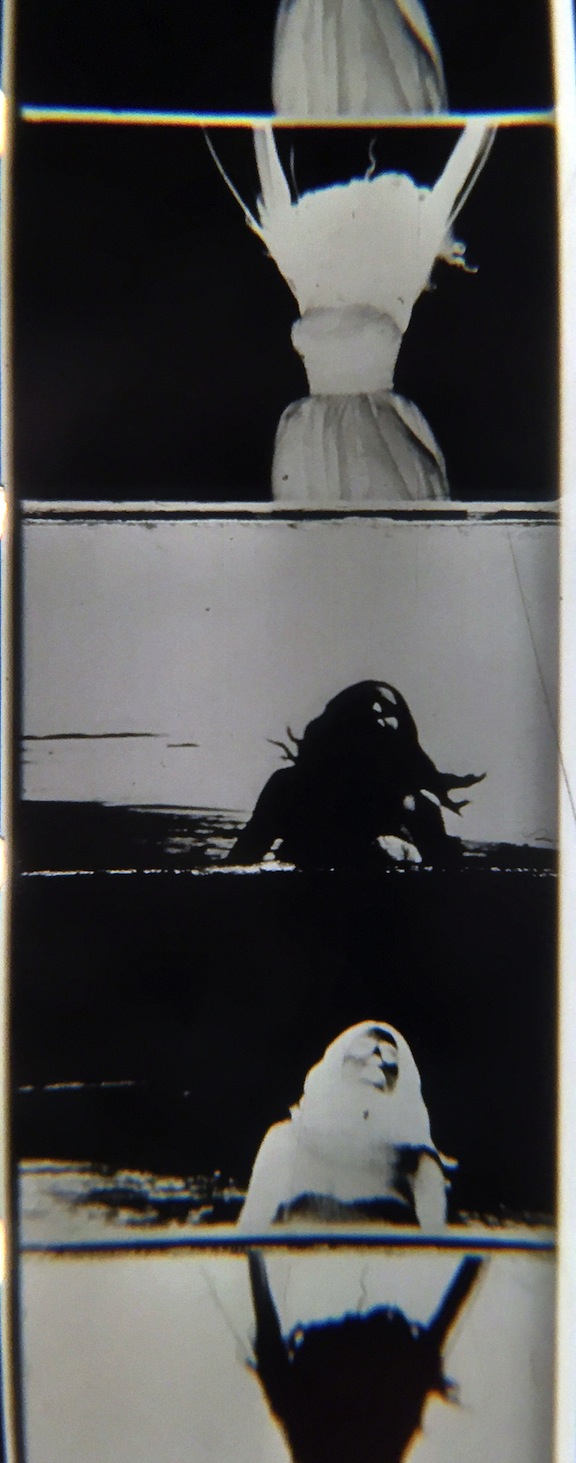 Yale to Preserve Documentarian Nick Doob | Moving Image Archive News